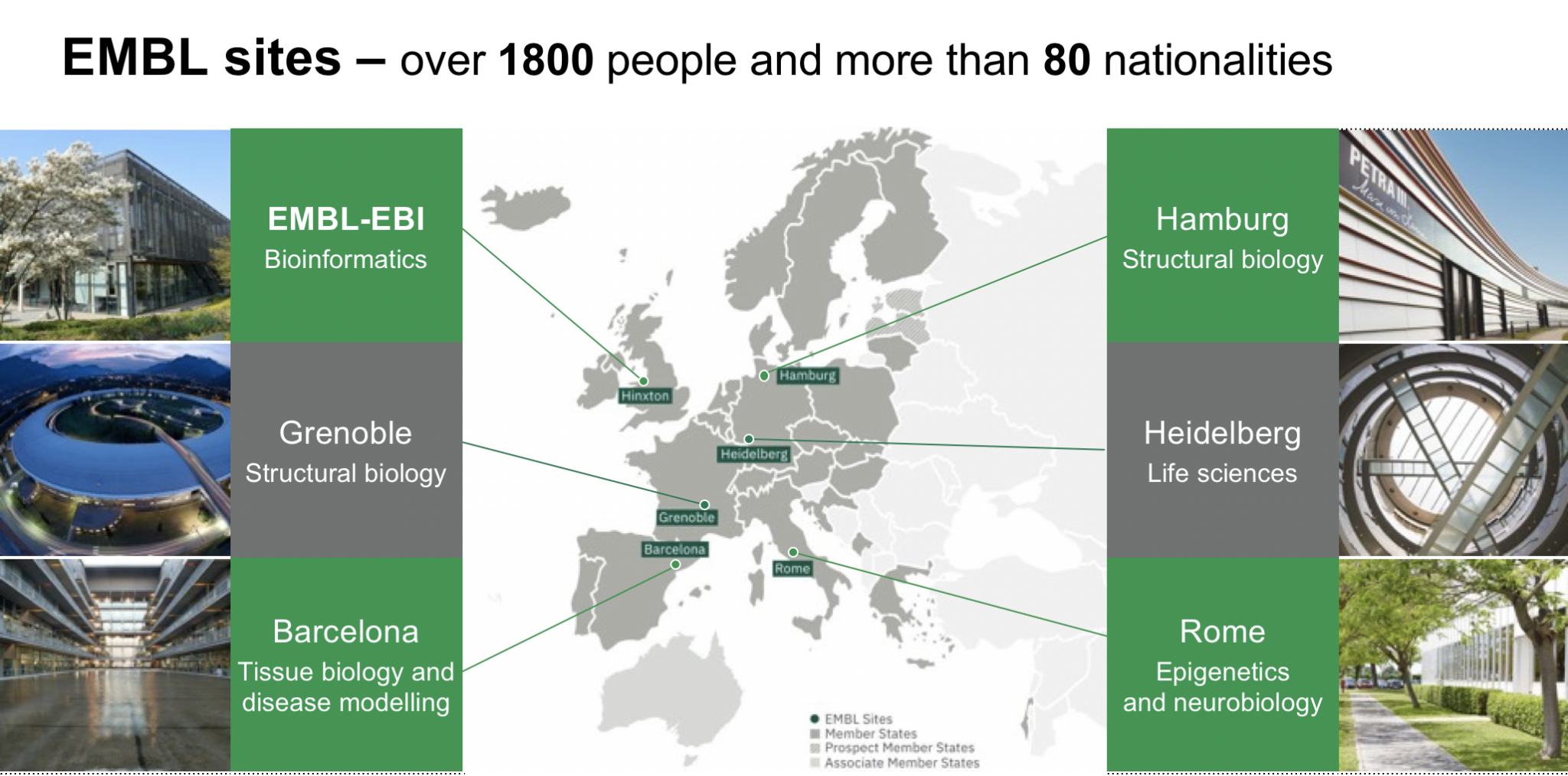 ARISE – Career Accelerator for Research Infrastructure Scientists