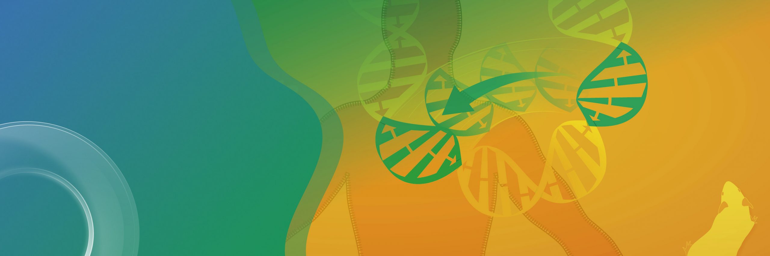 The mobile genome: genetic and physiological impacts of transposable ...