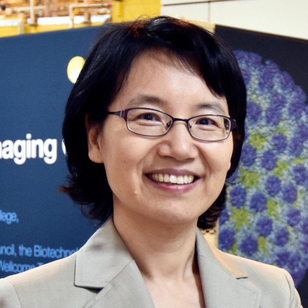 In situ structural biology: from cryo-EM to multi-scale modelling ...