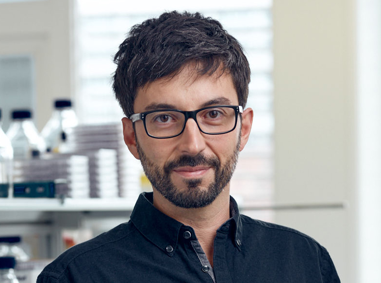 Transcription and chromatin – Course and Conference Office