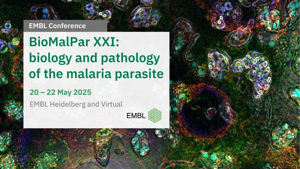 Virtual registration fees