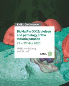 BioMalPar XXII: biology and pathology of the malaria parasite – Course ...