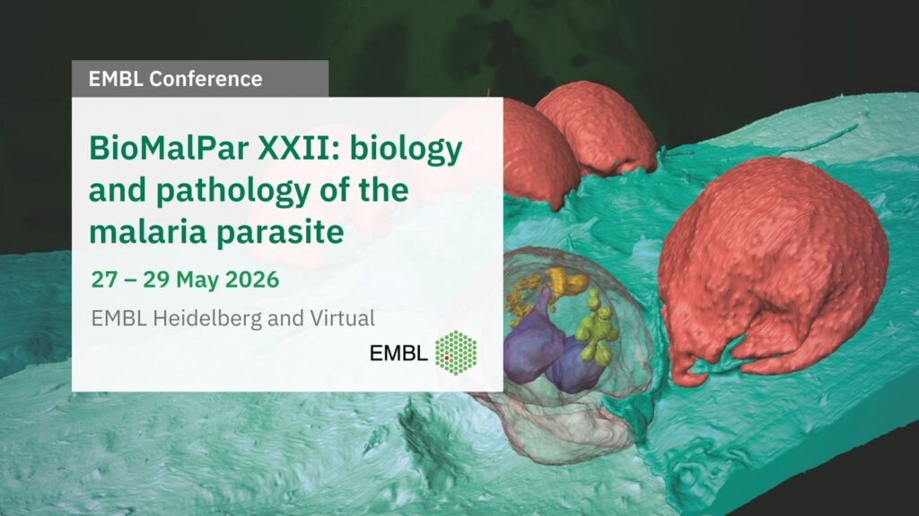 BioMalPar XXII: biology and pathology of the malaria parasite – Course ...