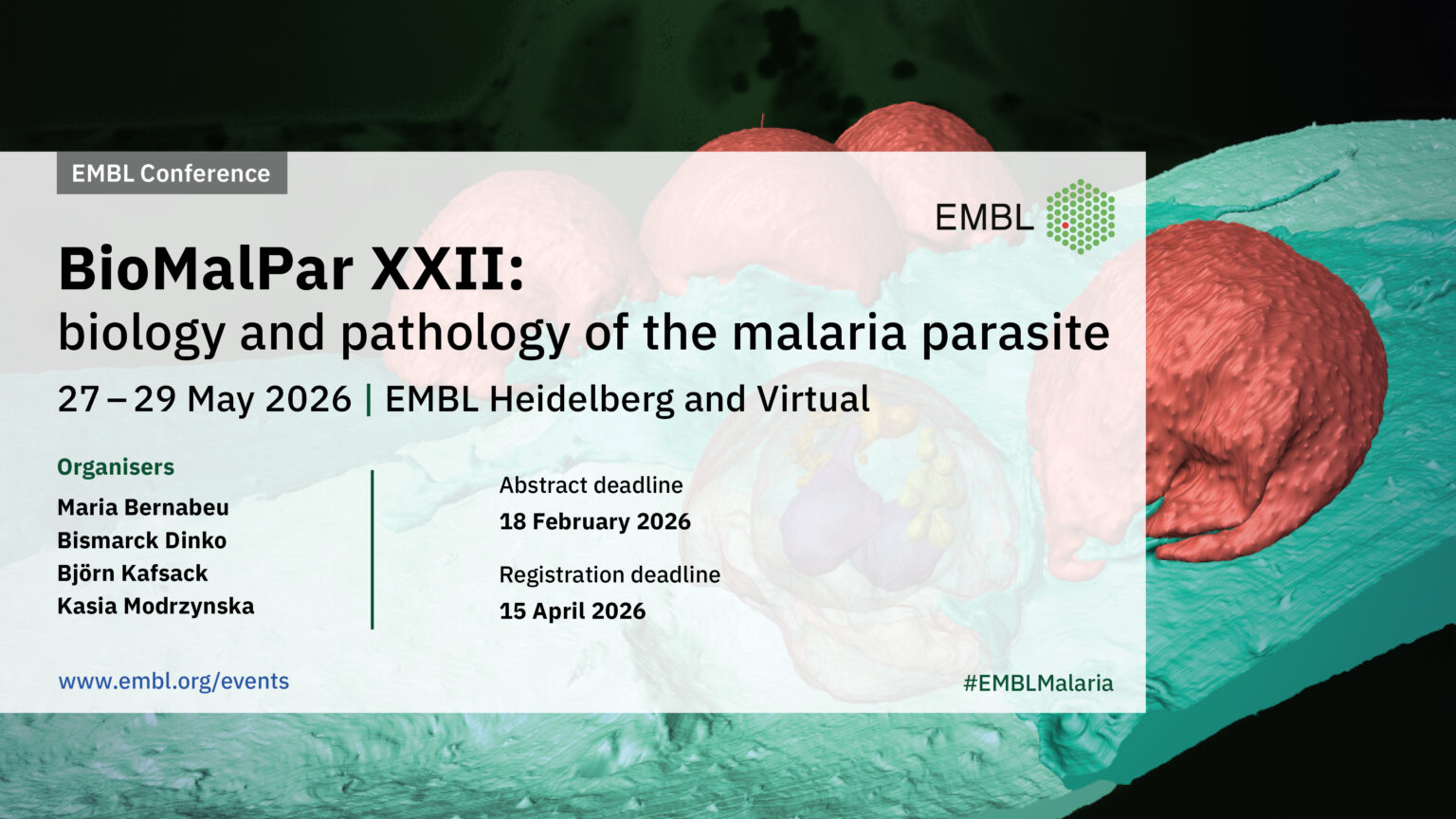 BioMalPar XXII: biology and pathology of the malaria parasite – Course ...
