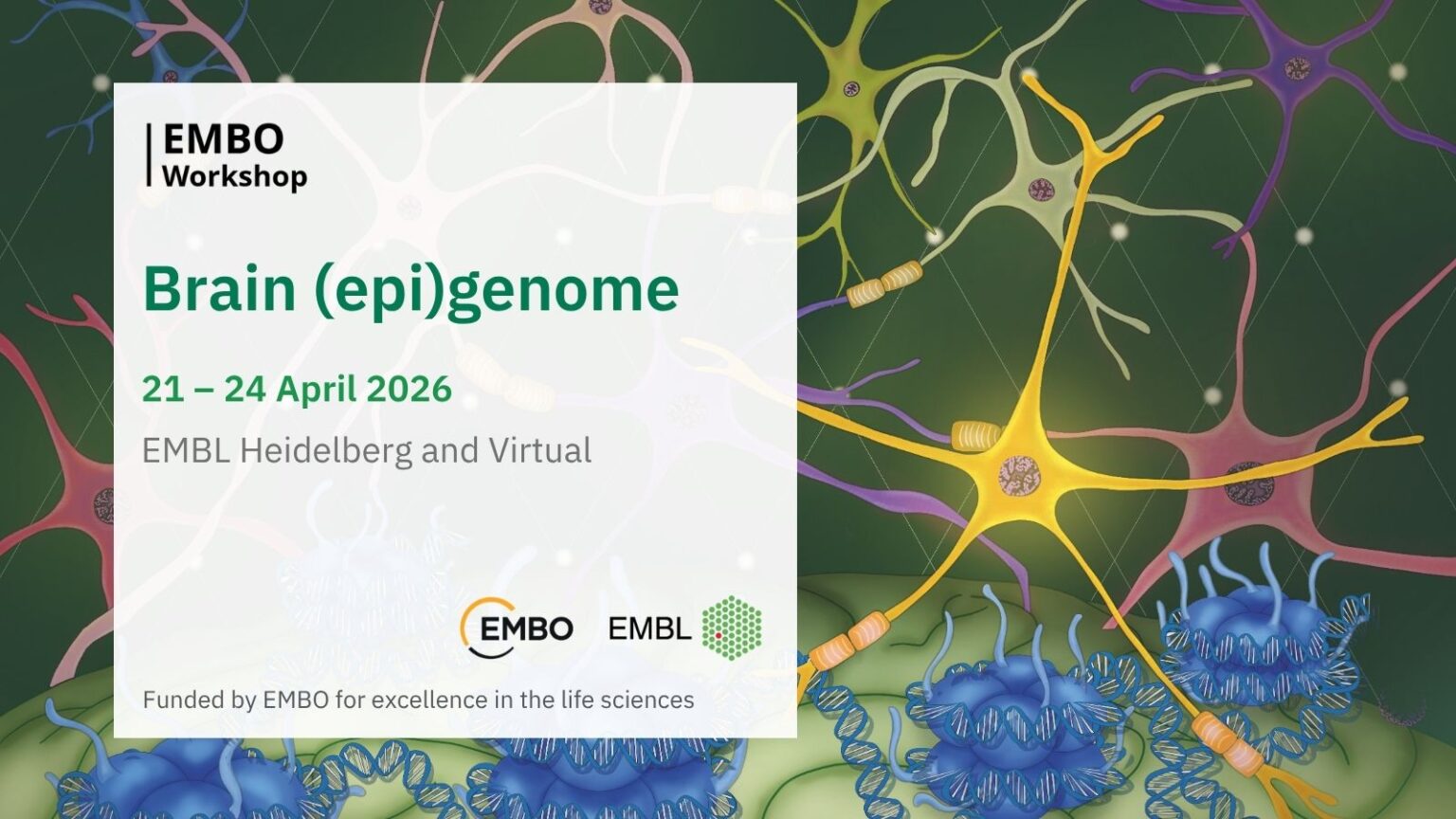 Authors and affiliations: