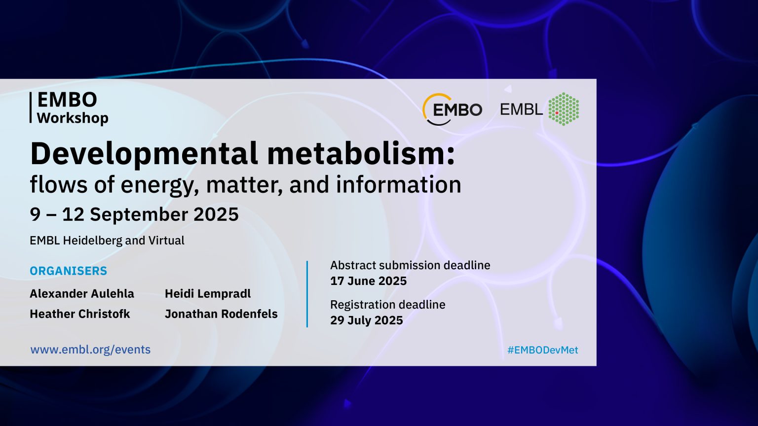 Developmental metabolism: flows of energy, matter, and information ...