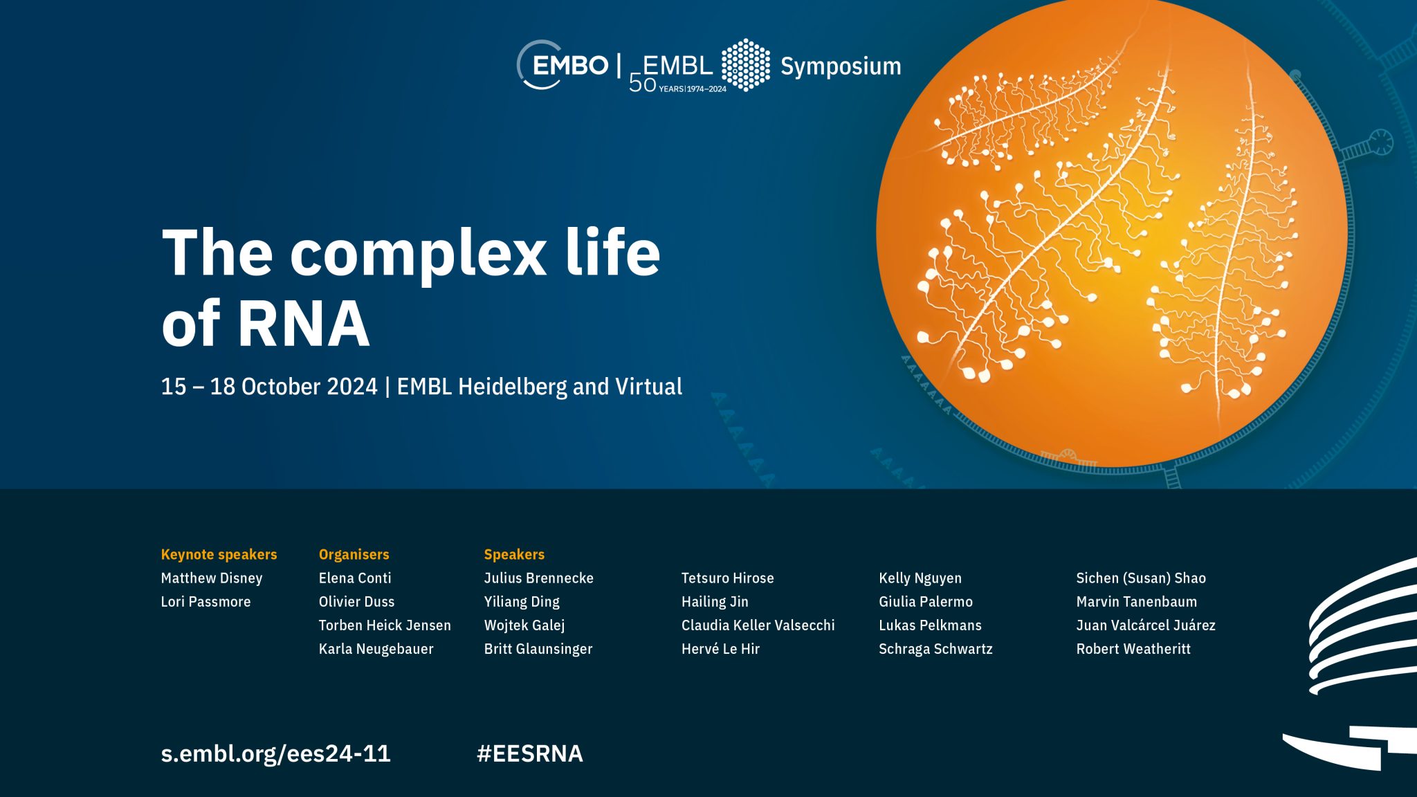 The complex life of RNA – Course and Conference Office