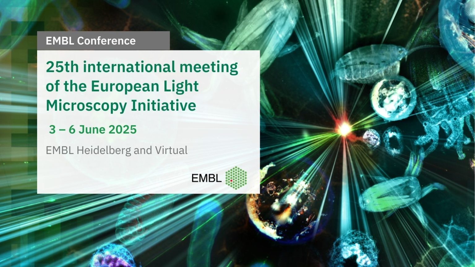 25th international meeting of the European Light Microscopy Initiative ...