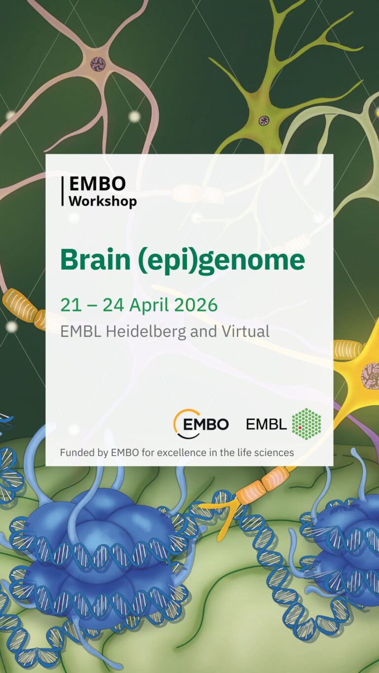 Authors and affiliations: