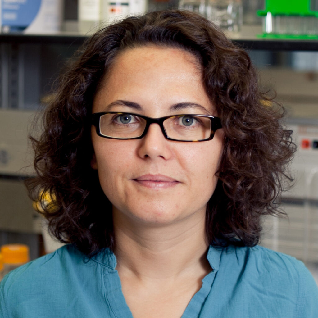C. elegans: from genome editing to imaging – Course and Conference Office