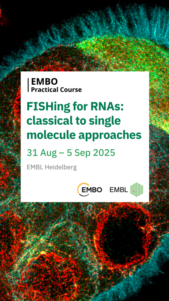 smFISH hybridisation