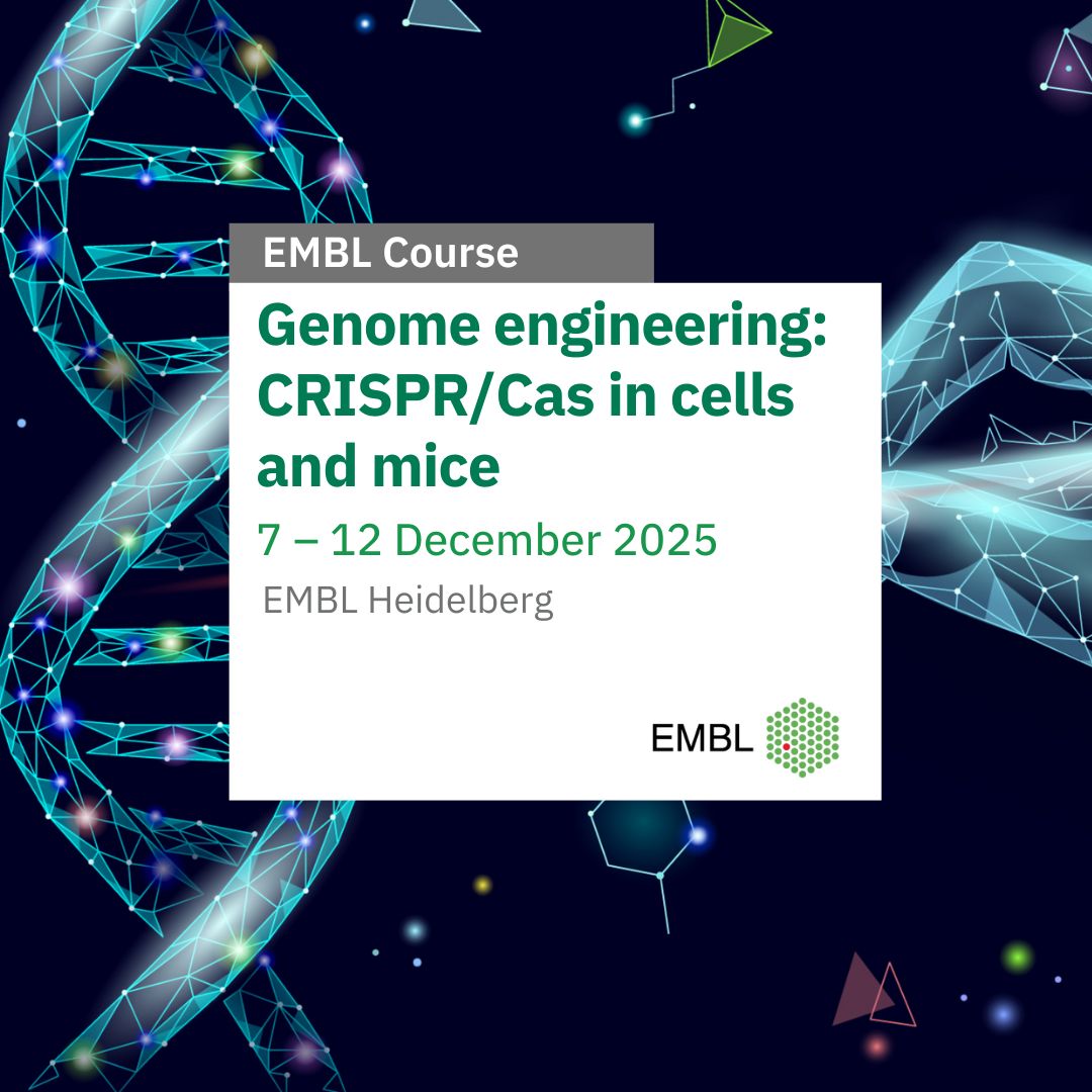 Genome engineering: CRISPR/Cas in cells and mice – Course and ...