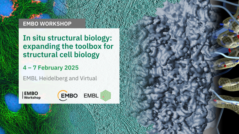 Margot Riggi – Max Planck Institute of Biochemistry, Germany