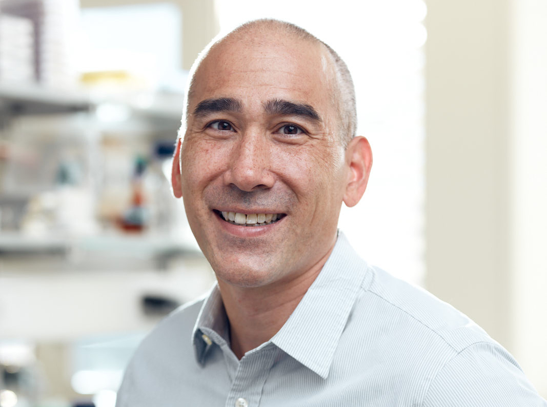 Gene regulation: one molecule at a time – Course and Conference Office