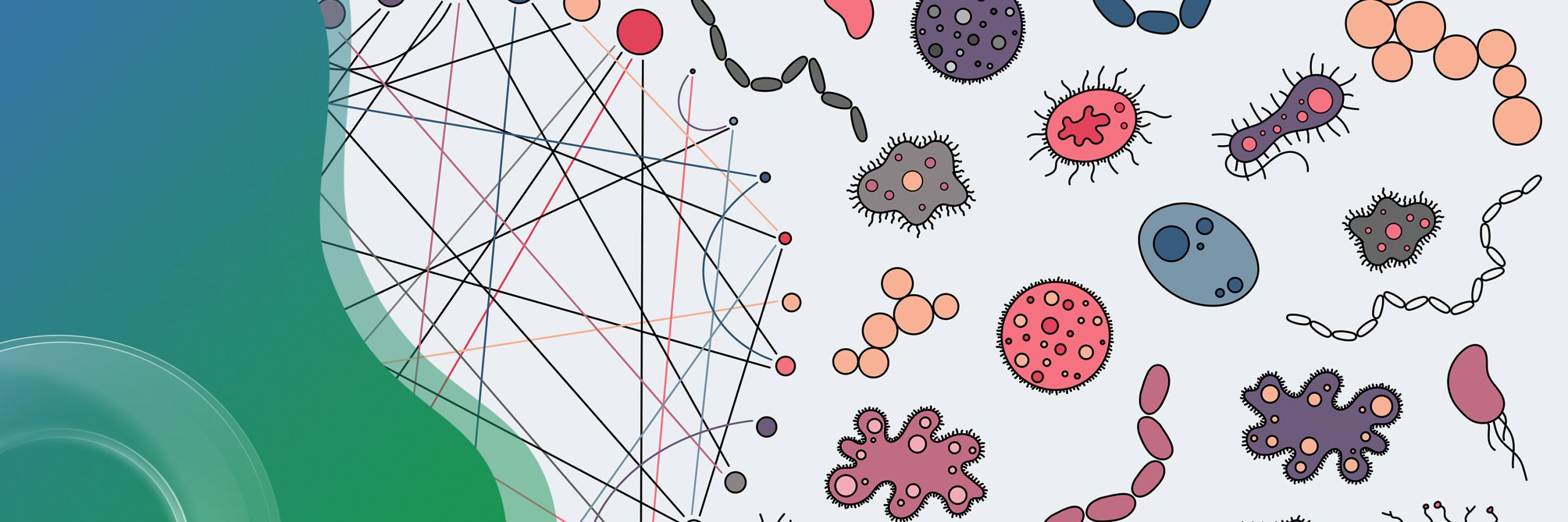 Metabolite and species dynamics in microbial communities – Course and ...