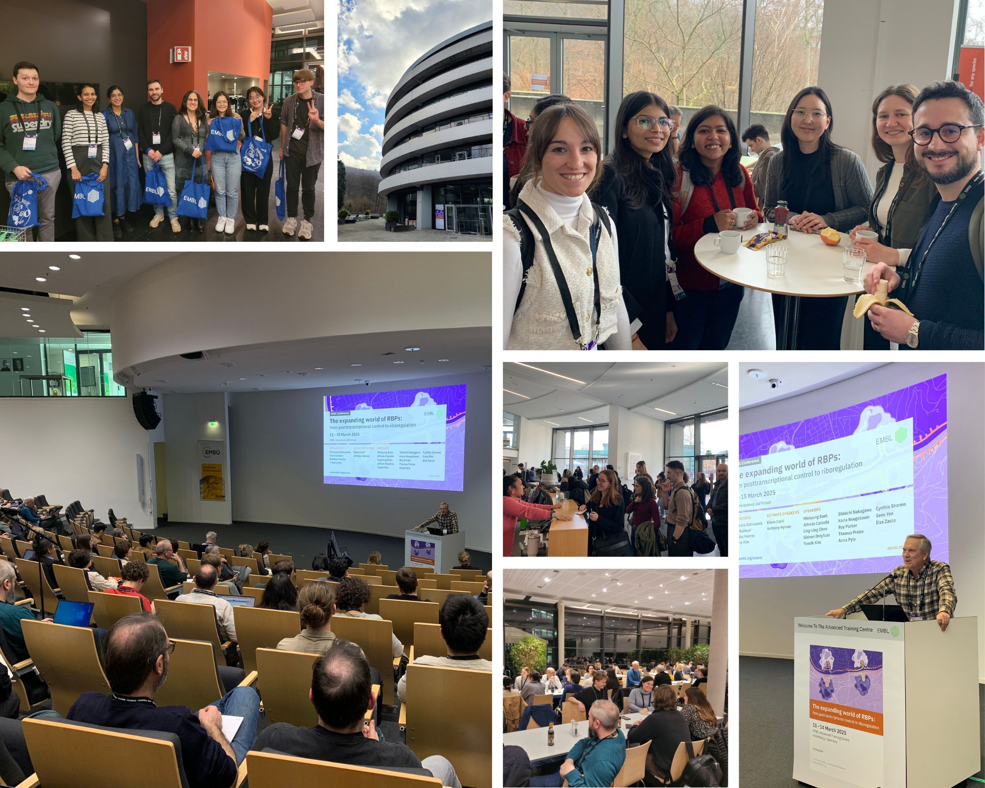 The EMBL Conference ‘ The expanding world of RBPs: from ...