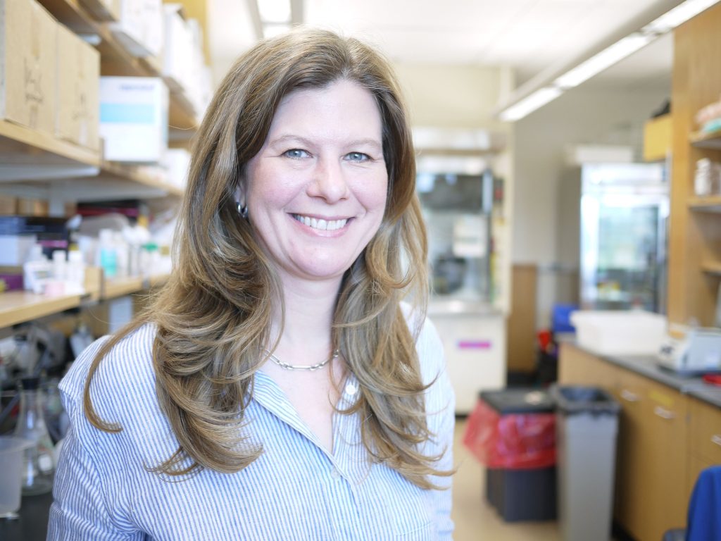 Gene regulation: one molecule at a time – Course and Conference Office