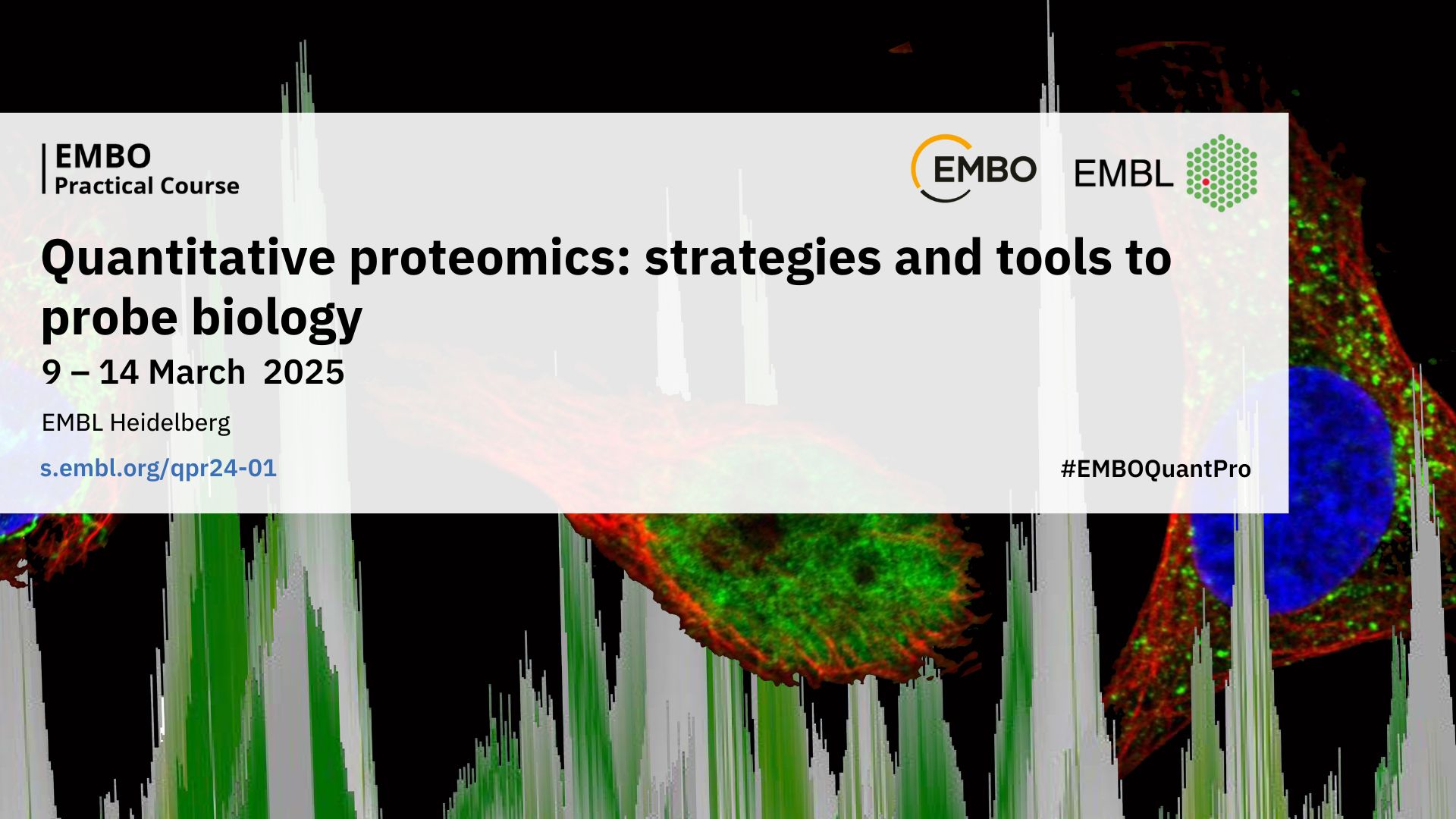 Michal Bassani-Sternberg – Ludwig Institute for Cancer Research ...