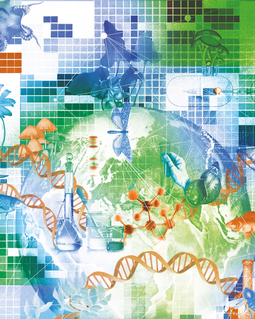 Meet the poster prizes winners of the EMBL Conference ‘AI in one health’