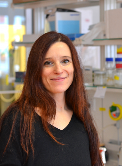 Expansion microscopy – Course and Conference Office