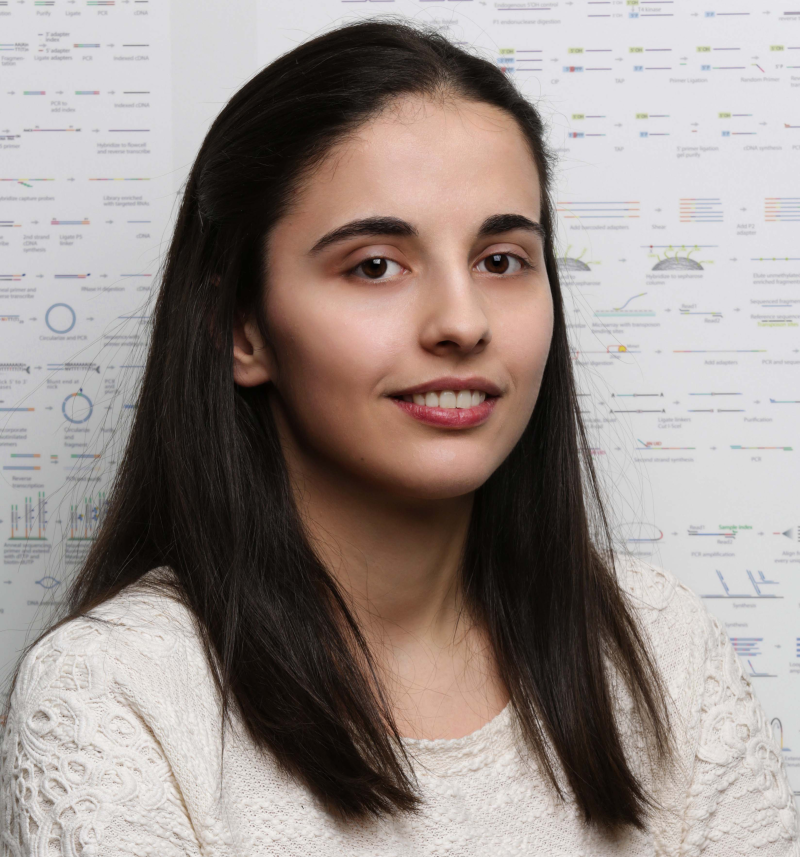 Presenter: Anamaria Elek , Centre for Genomic Regulation, Spain