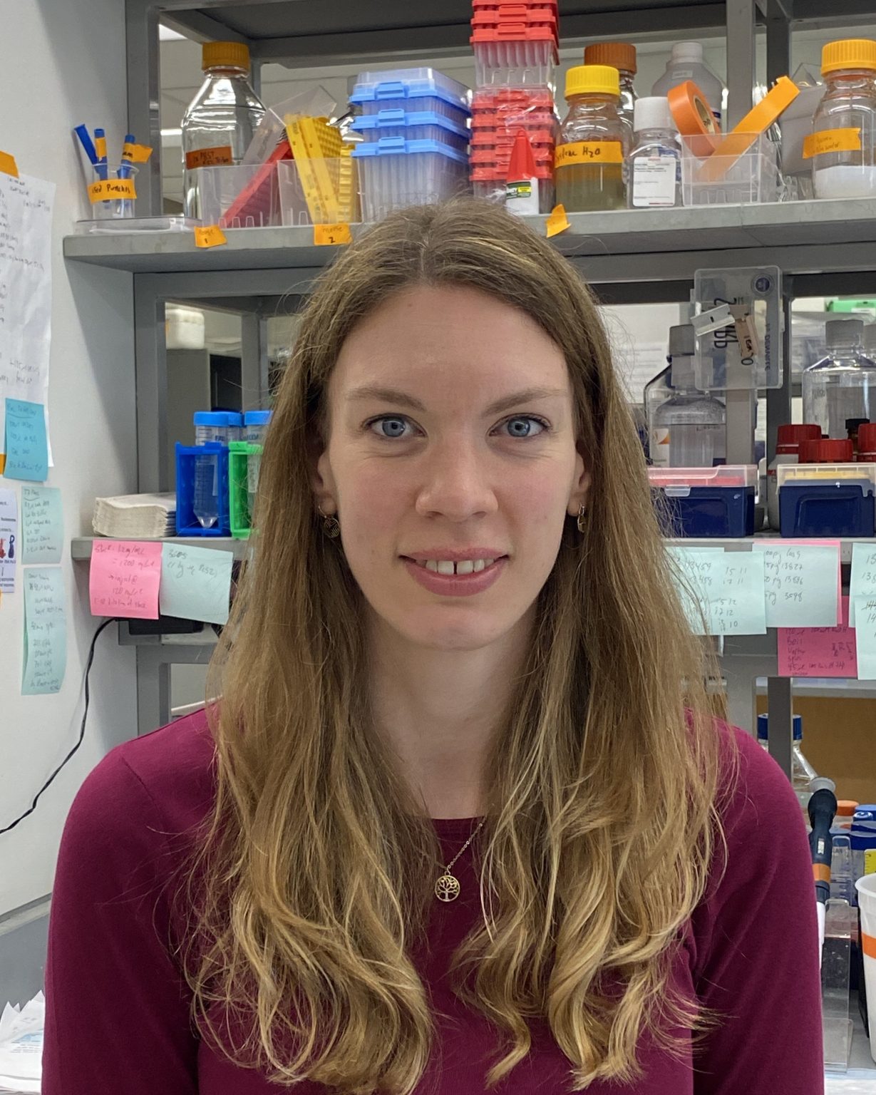 Meet the best poster prize winners of ‘Seeing is believing: imaging the ...
