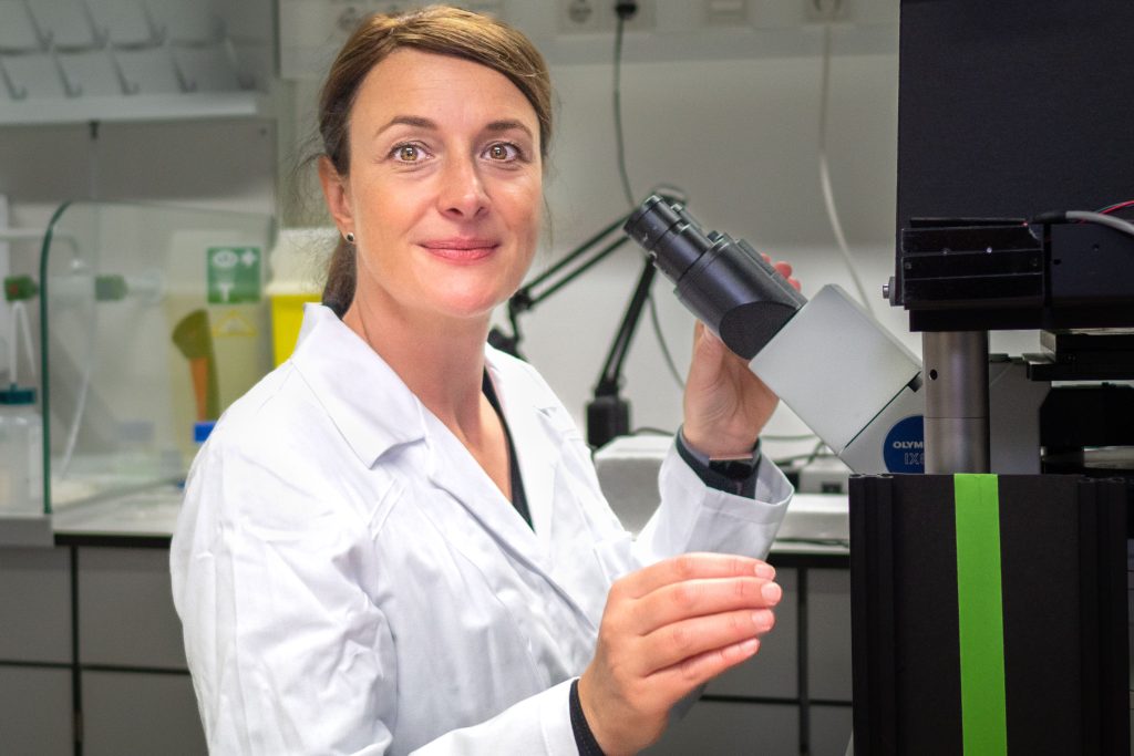 Cell biology of the nucleus – Course and Conference Office