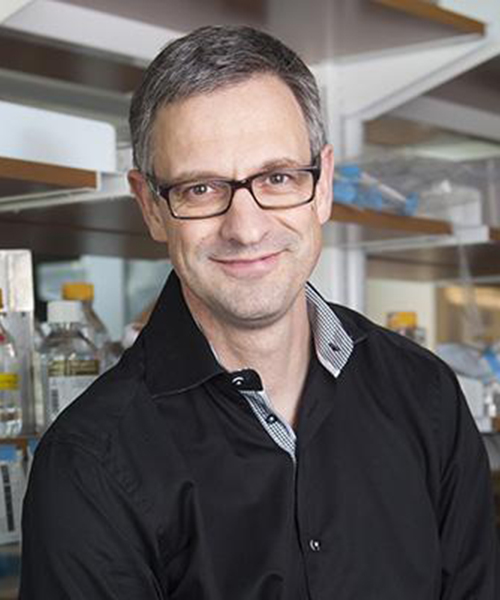 Scientific Advisory Committee – EMBL Council