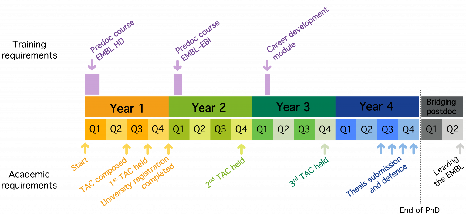 Programme overview – EMBL International PhD Programme