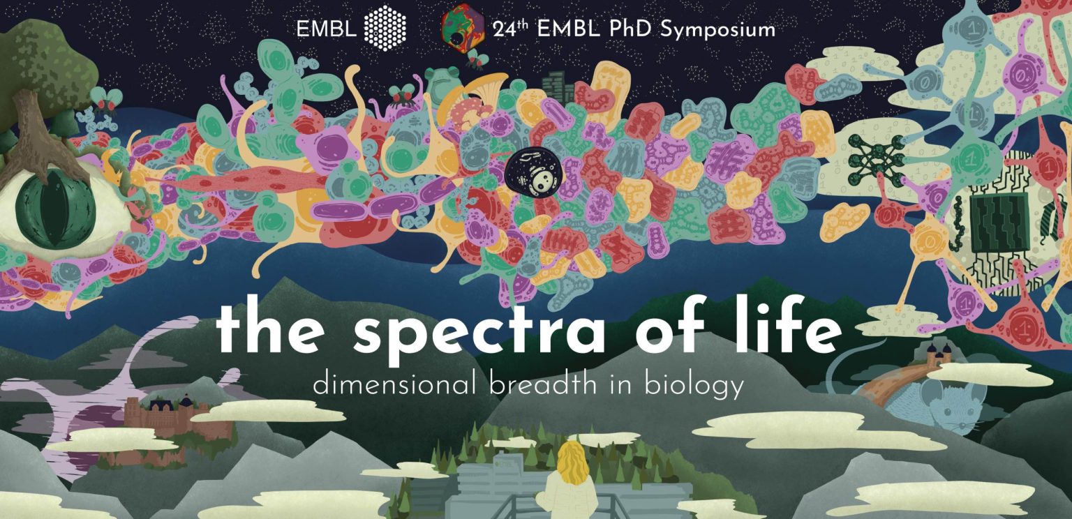 EMBL International PhD Programme – Unique in the world and waiting for you!