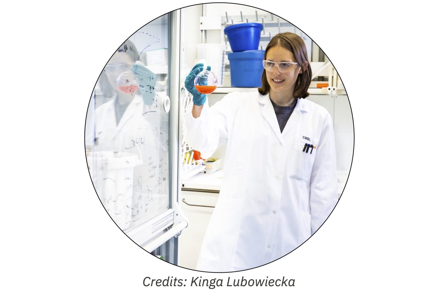 Programme overview – EMBL International PhD Programme