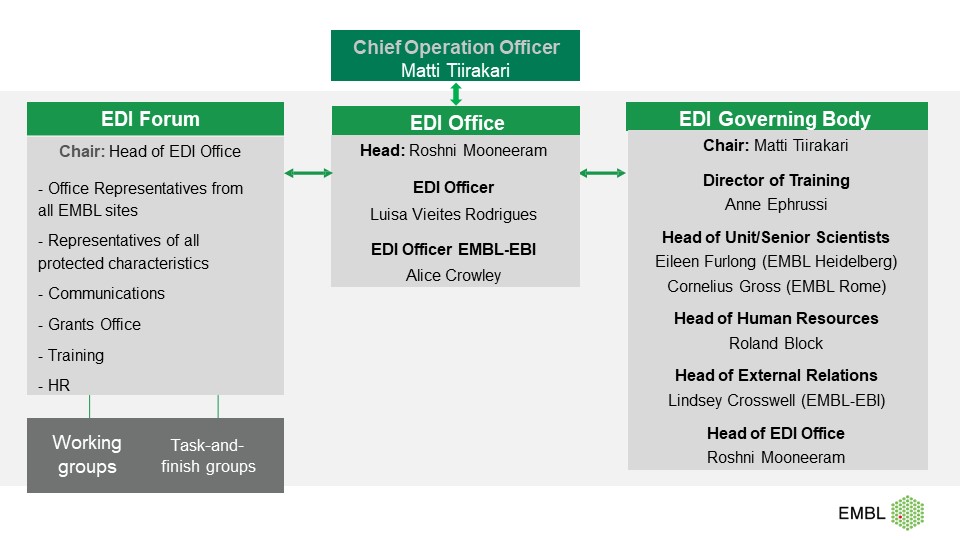EDI Governance Structure – Equality, Diversity and Inclusion