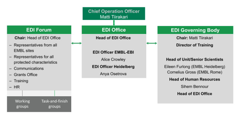 EDI Governance Structure – Equality, Diversity and Inclusion