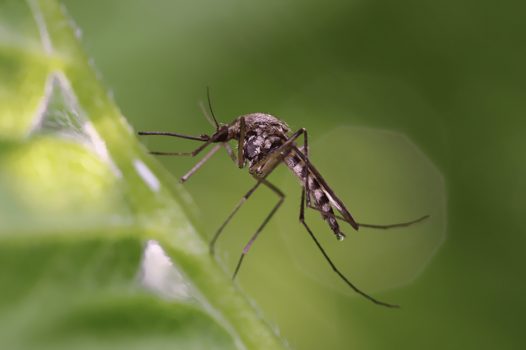 Arthropod-human protein interactions – Human Ecosystems