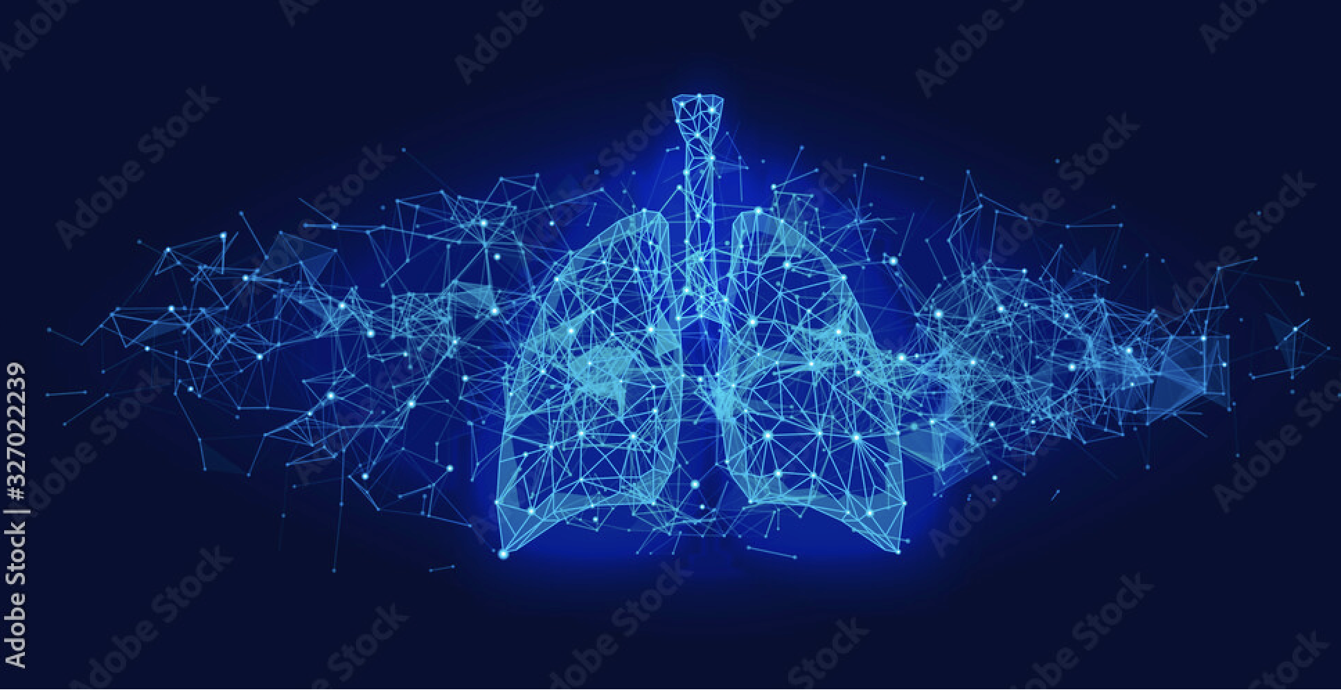 Environmental exposure impacts on cancer risk in the human lung – Human ...