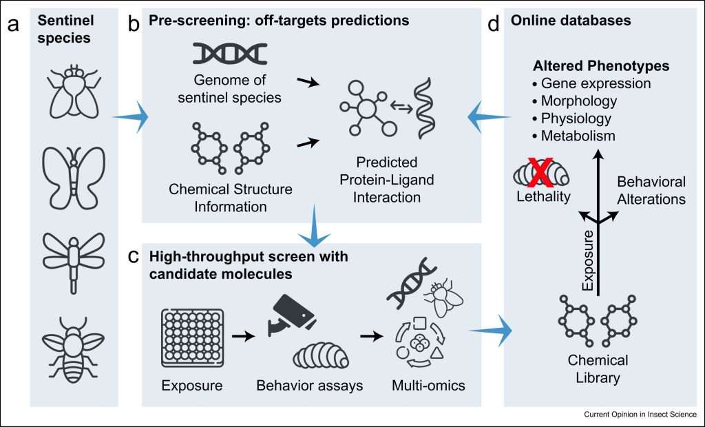 Using AI to prevent the insect apocalypse: toward new environmental ...