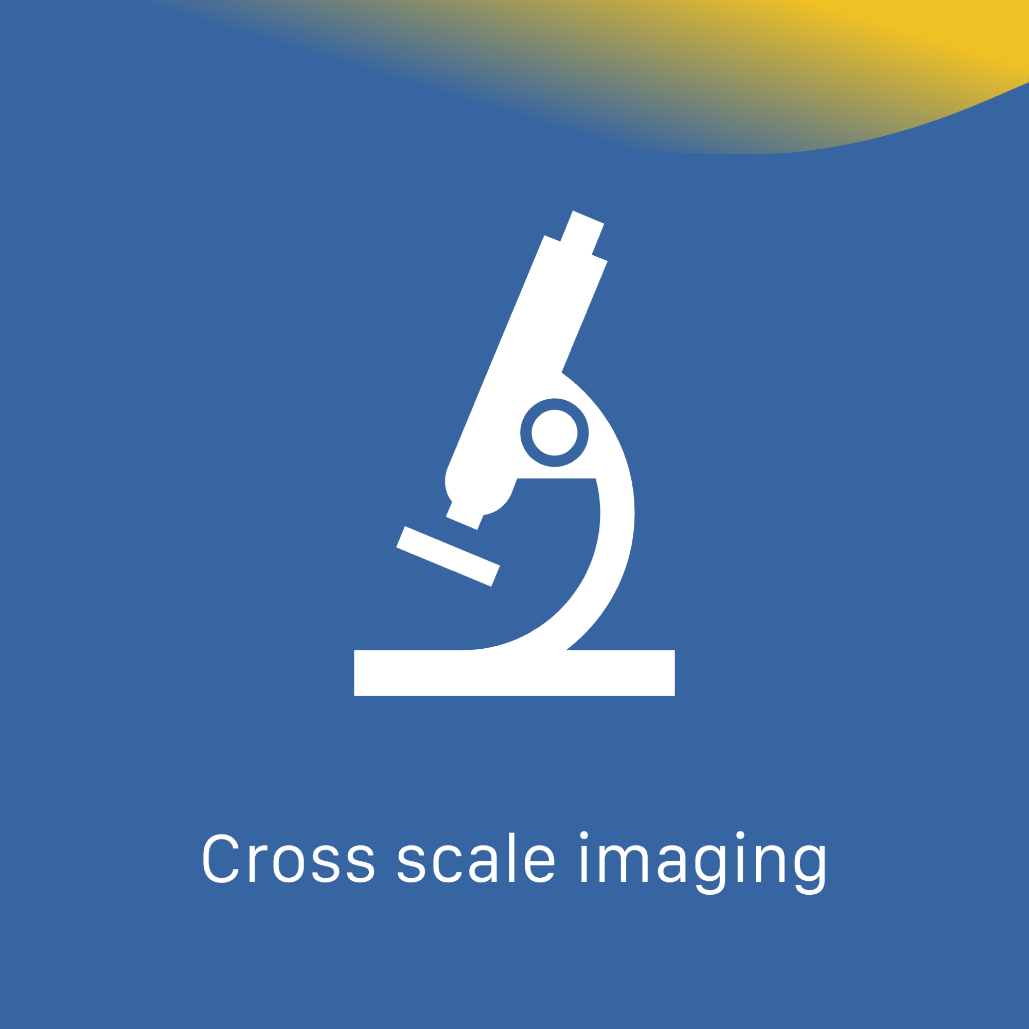 IMAGINE – Next generation technologies for biological imaging