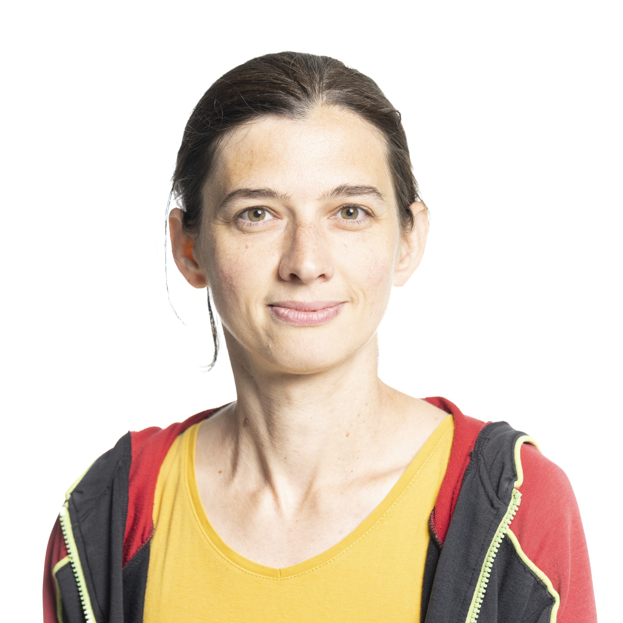 Validation and Service Integration – IMAGINE