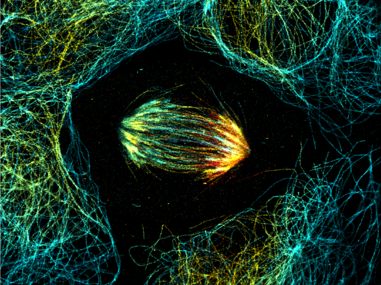 Single Molecule Localisation Microscopy (SMLM) – EMBL Imaging Centre Single Molecule Localisation Microscopy (SMLM) – EMBL Imaging Centre