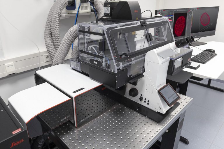 Stimulated Emission Depletion (STED) Microscopy – EMBL Imaging Centre