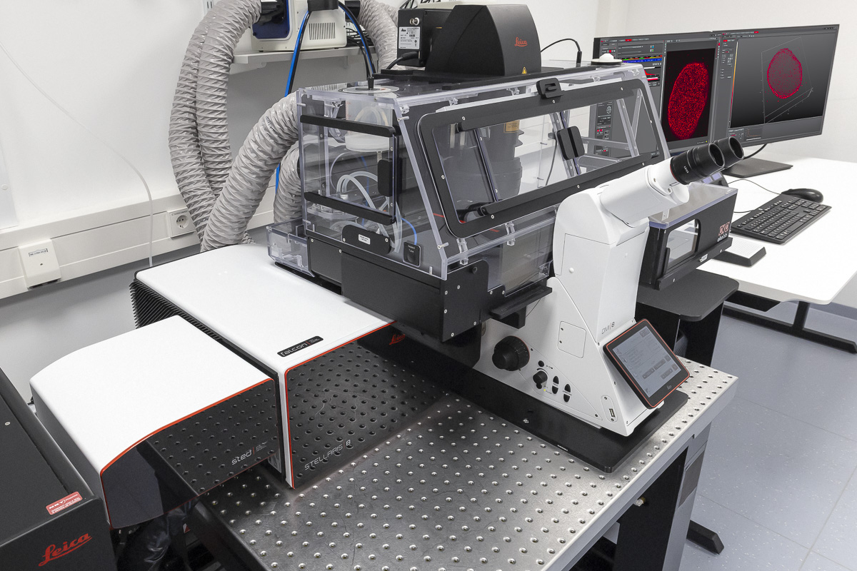 Stimulated Emission Depletion (STED) Microscopy – EMBL Imaging Centre