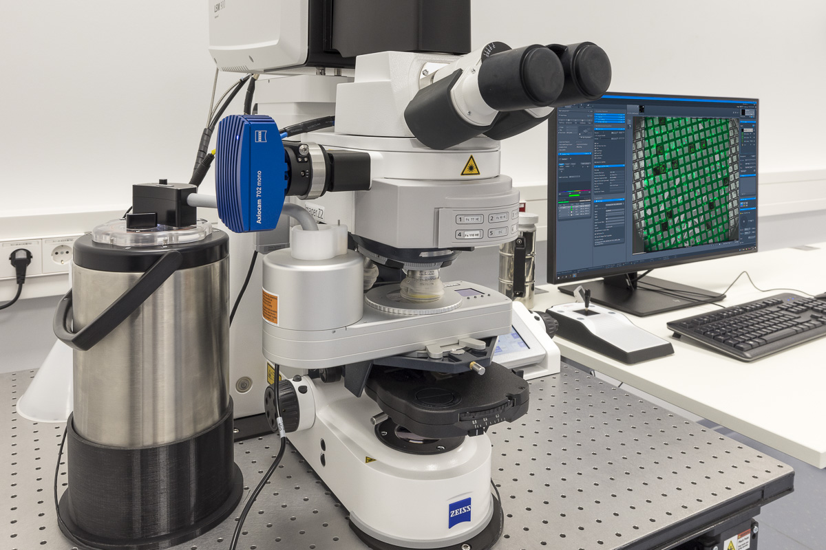 Cryo-Confocal Imaging – EMBL Imaging Centre