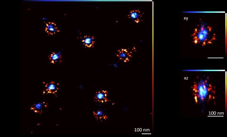 Single Molecule Localisation Microscopy (SMLM) – EMBL Imaging Centre