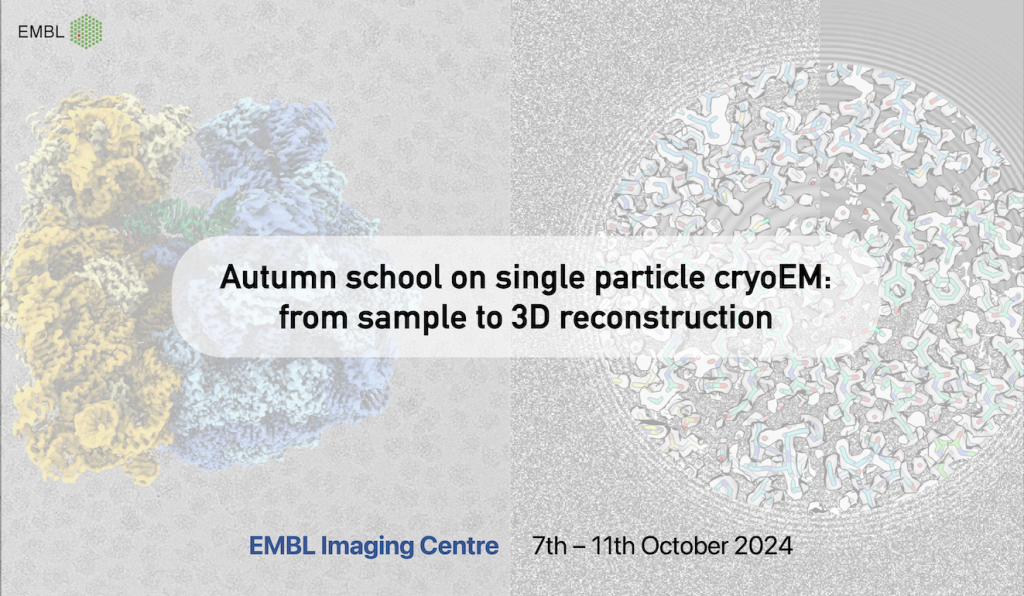 Autumn school on single particle cryoEM: from sample to 3D ...