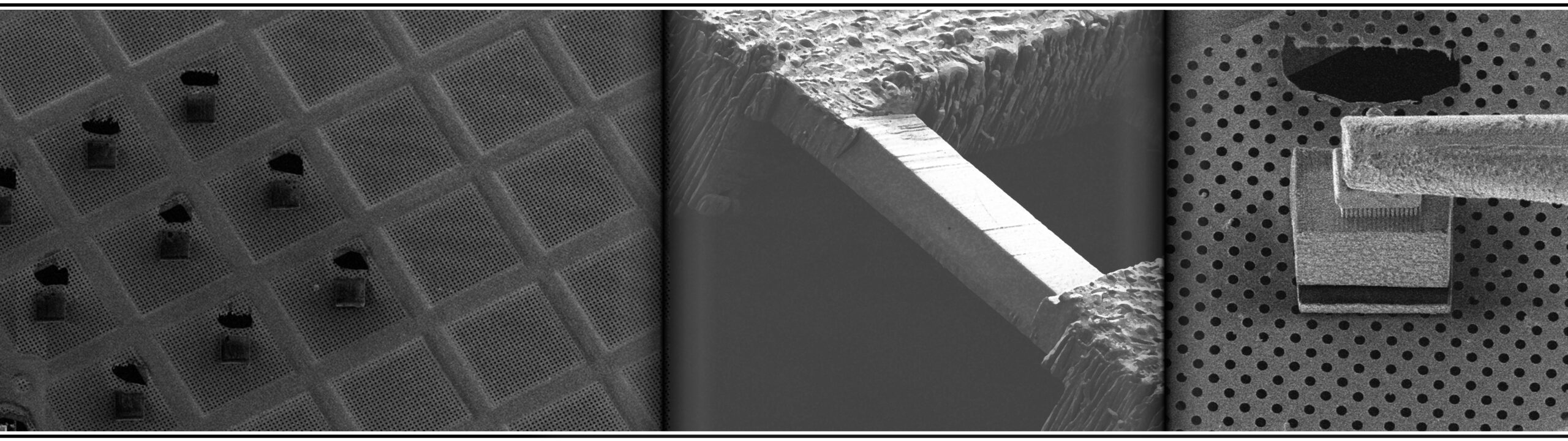 Instruct-ERIC hands-on workshop on: Advanced cryo-FIB-SEM methods (09 ...