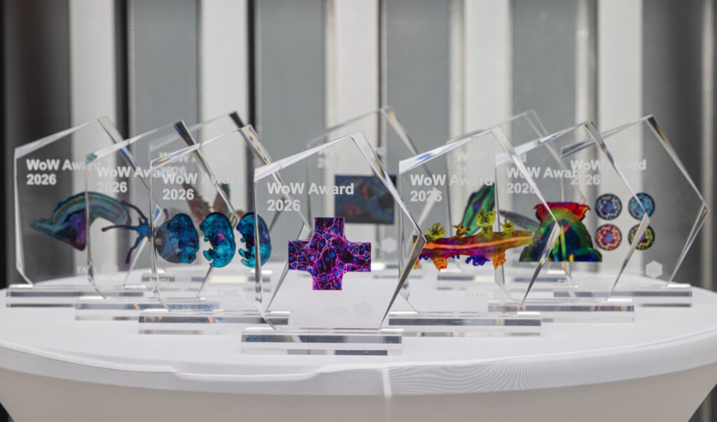 First WoW Award celebrates the beauty and impact of imaging at EMBL ...