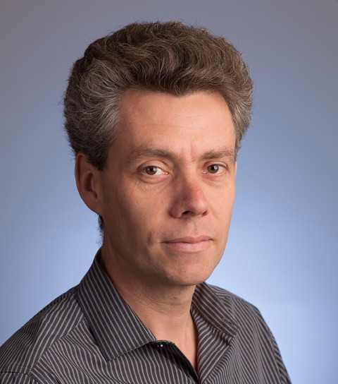 Visualizing parasitic plasmid interactions with host nuclear components ...