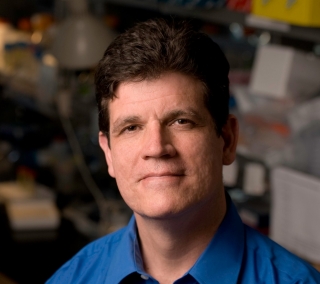 Members – EMBL | Stanford Life Science Alliance