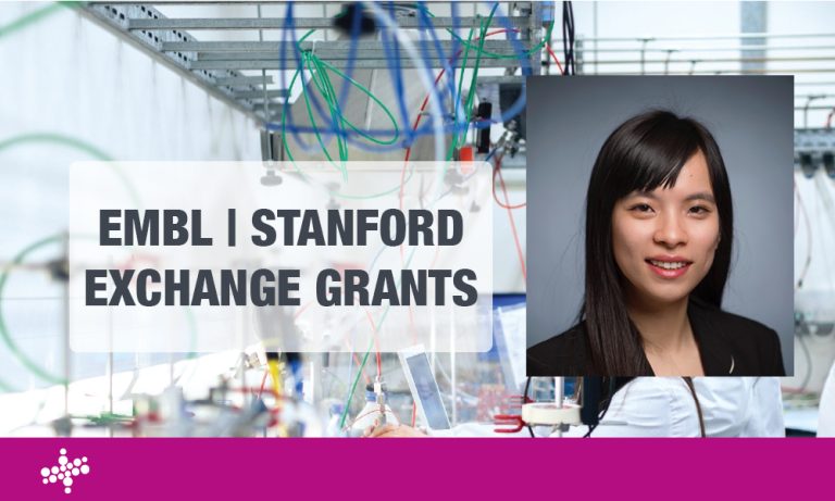 EMBL | Stanford Life Science Alliance – Creating synergies between EMBL ...