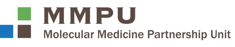 Research Groups – Molecular Medicine Partnership Unit